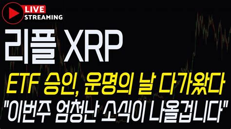 리플 Xrp 긴급속보 Etf 승인 운명의 날 다가왔다 이번주 엄청난 소식이 나올겁니다 리플 리플코인 리플