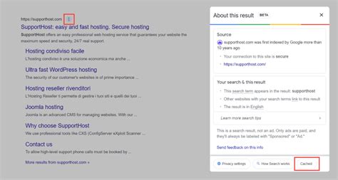Google Cache The Definitive Guide SupportHost