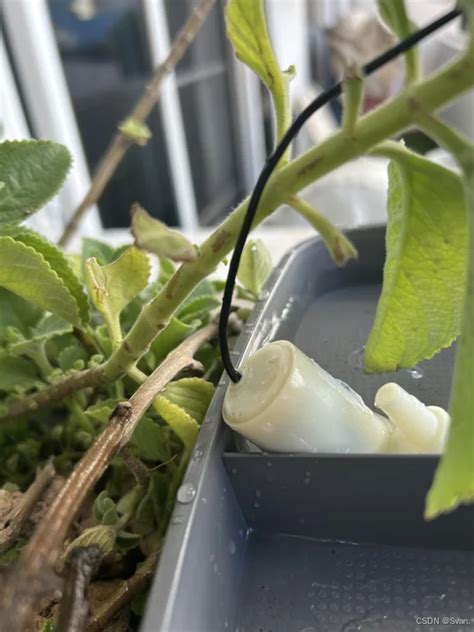 基于arduino的植物浇水系统arduino自动浇花系统 Csdn博客 基于arduino的植物浇水系统arduino自动浇花系统 Csdn博客