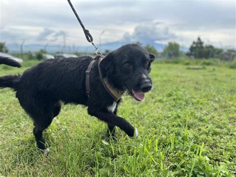 10 11 2023 Екоравновесие