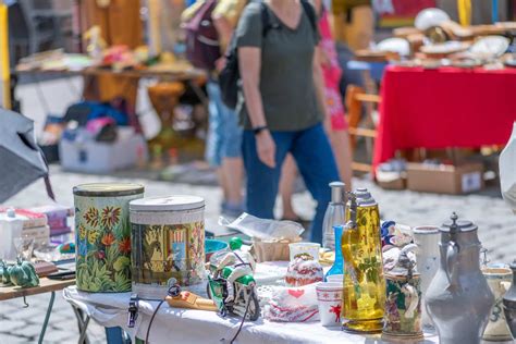 Flohm Rkte In Der Schweiz