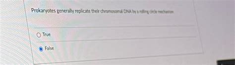 Solved When Is Dnag Needed During Replication Initiation Of