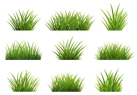 Premium Vector Green Grass Isolated White Background