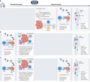 可切除非小细胞肺癌的免疫检查点抑制机遇与挑战 Nature Reviews Clinical Oncology X MOL