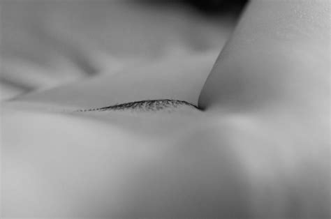 Trimmed Porn Pic Eporner