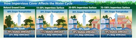 Impervious Surface Runoff