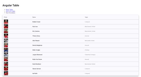Angular Material Table Mat Table Tutorial With Examples Pagination