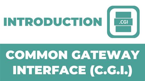 Introduction To Common Gateway Interface Cgi Complete Course Youtube