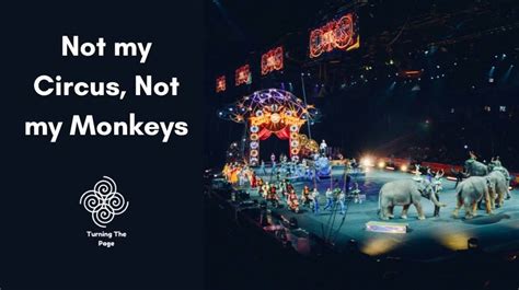 Not My Circus Understanding Emotional Boundaries