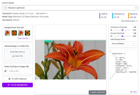Detect And Describe Flowers With Computer Vision And Generative AI