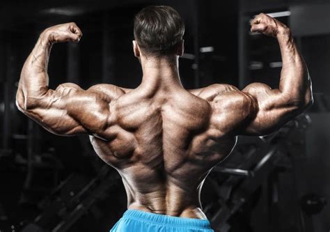 The Best 30 Minute Back Workout For Size And Strength Fitness Volt