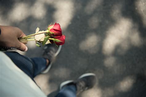 남자는 서 고 장미를 들고 발렌타인 하루 개념과 사랑 개념의 배경입니다 텍스트에 대 한 공간을 복사 합니다 개념에 대한 스톡 사진 및 기타 이미지 Istock