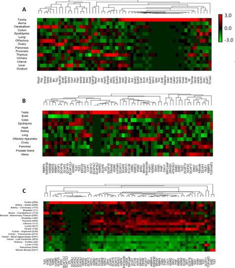 unsupervised hierarchical clustering of mrna expression profile of the