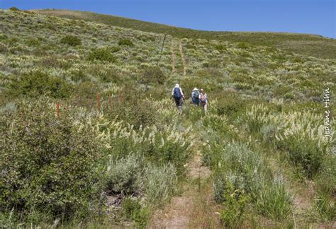 Home Bodie Hills Conservation Partnership