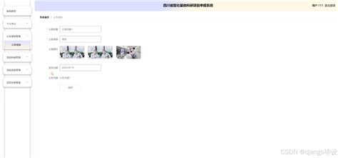 【开题报告】基于django vue四川省哲社基地科研项目申报系统（论文 程序） csdn博客