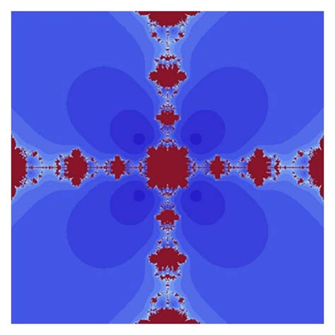 fractal behavior for the rational function associated to the
