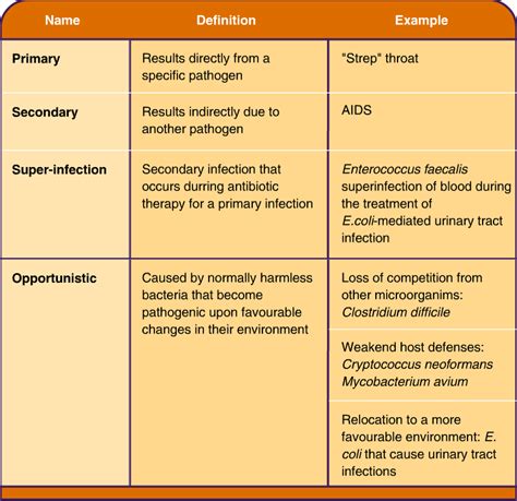 Basic Bacteriology Categories Of Infections
