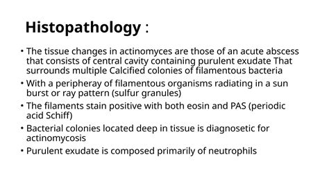 Actinomyces Bacterial Infections Imp Isre Ppt