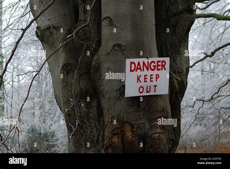 Danger Sign On Tree Stock Photo Alamy