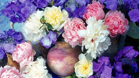 Peony Desktop Wallpaper 66 Images