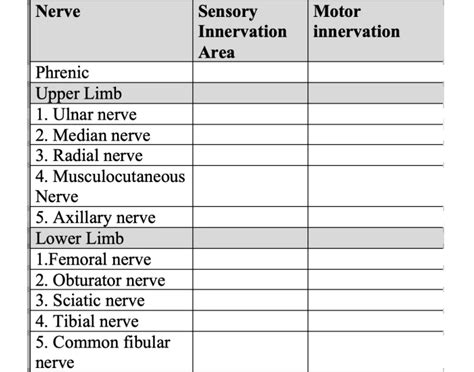 Nerve Innervation Quiz