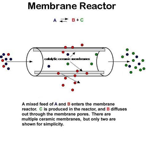 Amitpednekar BIOREACTOR ANALYSIS TECHNOLGY