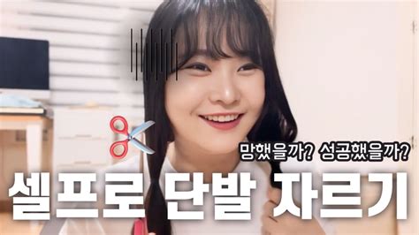 셀프로 단발머리 자르기💇🏻‍♀️ 성공 실패 셀프미용 셀프커트 셀프헤어스타일링 셀프단발 챙짱의 하루