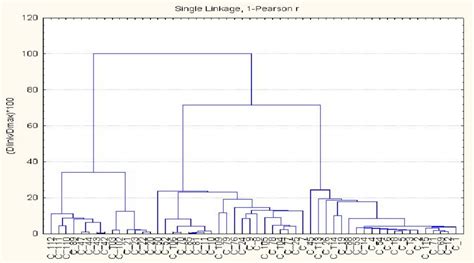 hierarchical cluster analysis tree illustrating the clustering of
