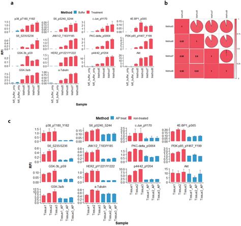 Rppa Profiling Of Multiple Targets Using 4 Extraction Methods On Ff