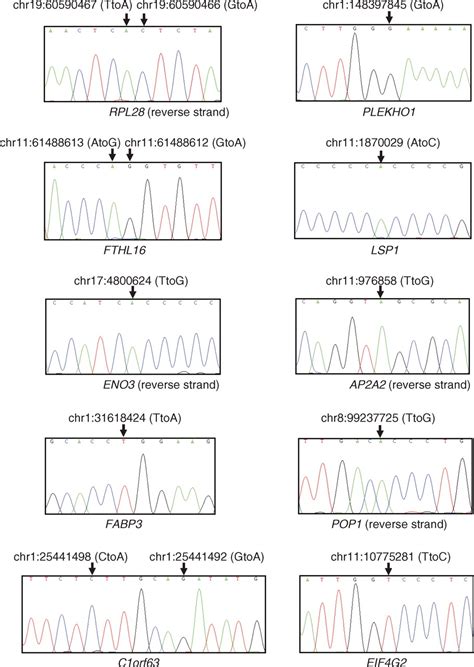 Widespread Rna And Dna Sequence Differences In The Human Transcriptome At Zara Khull Blog