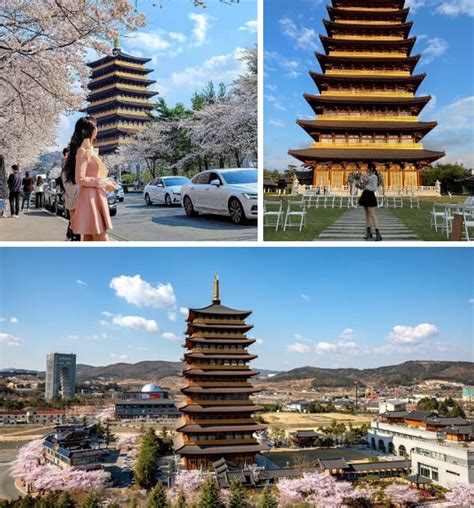 경주 가볼만한 곳 Best 10 총정리 필수코스 숨은명소