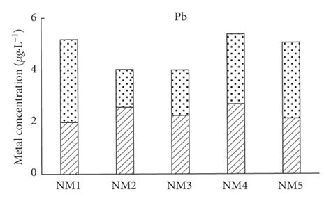 Proportions Of Dissolved Diagonal Pattern Fill And Particulate Dot