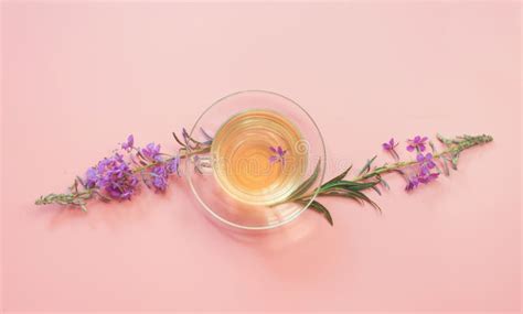 Blooming Sally Flowers And Cup Of Herbs Tea On Pink Top View And