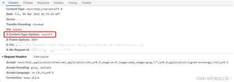 大聪明教你学java Spring Boot 项目设置 X Content Type Options 响应头 Csdn博客