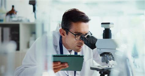 Research Tablet Or Man In Lab With Microscope Vaccine Test Or Medical Experiment For Cancer