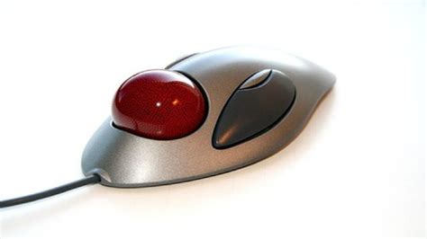 uses of a computer trackball youtube