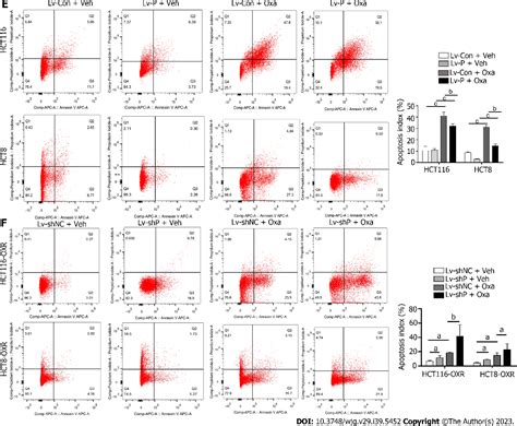 Figure 3 From Prostaglandin F2α Synthase Promotes Oxaliplatin Resistance In Colorectal Cancer