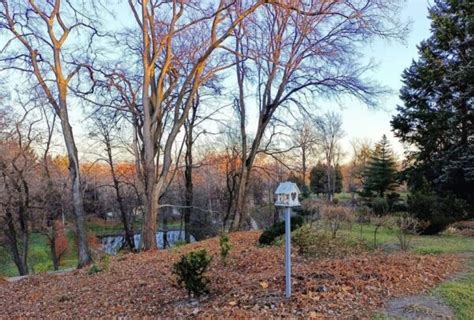 З 15 по 27 листопада три знаки Зодіаку зможуть насолоджуватися успіхом у коханні Астрологи