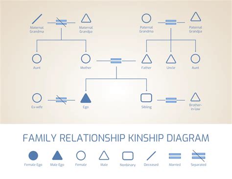 Free Editable Kinship Diagram Template Venngage
