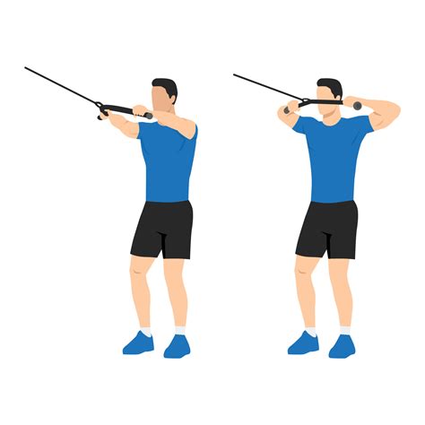 Man Doing Cable Face Pull Exercise Flat Vector Illustration Shoulder
