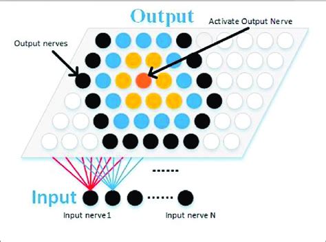 Structure Of Som Neural Network Download Scientific Diagram