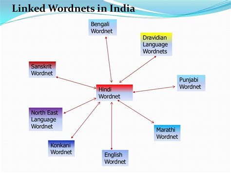 Wordnet