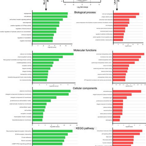 Go Functional Annotation And Pathway Enrichment Analysis Of Upregulated Download Scientific