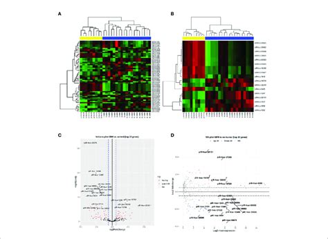 Pirna Expression Profiling Based On Next Generation Sequencing Data