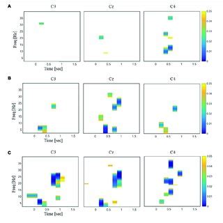 Illustrations Of The Time Frequency Regions In EEG Responses That Download Scientific Diagram