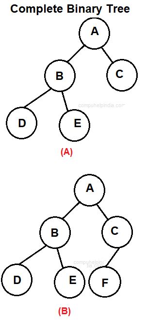 Binary Tree In Data Structures