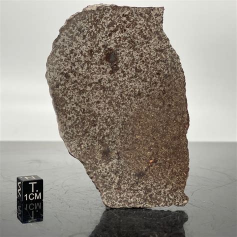 Super Xxl Carbonaceous Chondrite New Classification Nwa Catawiki