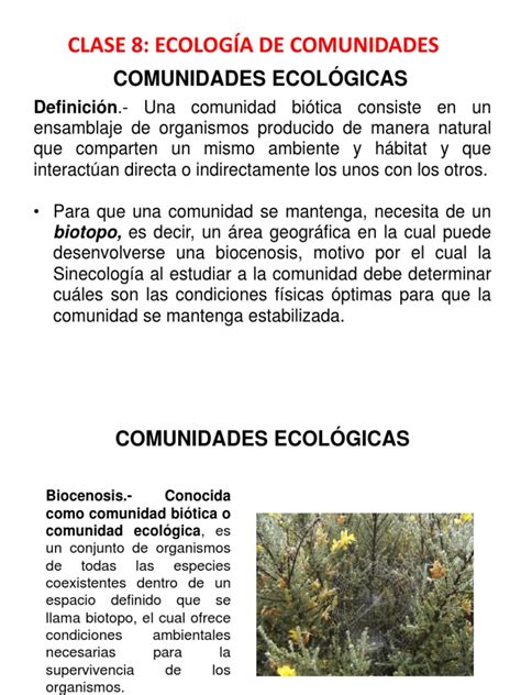 Estructura Y Diversidad De Comunidades Ecológicas Pdf Ecología