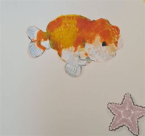 Blob Fish🐠 Nel 2024