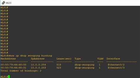 Cisco Dhcp Snooping Ahmad Anggra